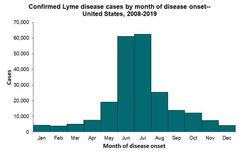 Lyme Disease Outlook 2023: What to Expect & How to Prepare - Best Value ...